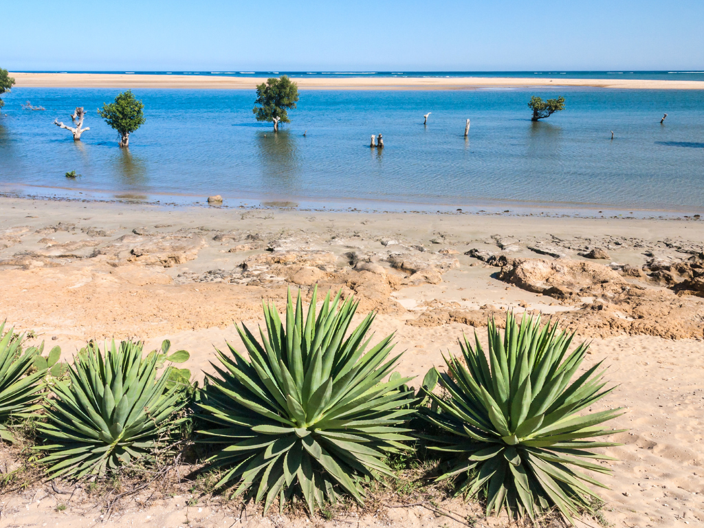 Voyage responsable Madagascar - VOYAGE OCEAN INDIEN by TOURISMER